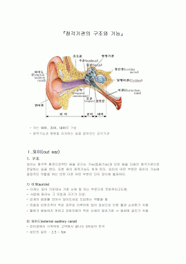 청각기관의 구조와 기능-1페이지