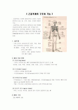 [논문] 근골격계의 구조와 기능 -1페이지