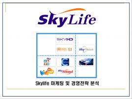 Skylife 마케팅 및 경영전략 분석-1페이지