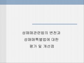 성매매관련법의 변천과 성매매특별법에 대한 평가 및 개선점-1페이지