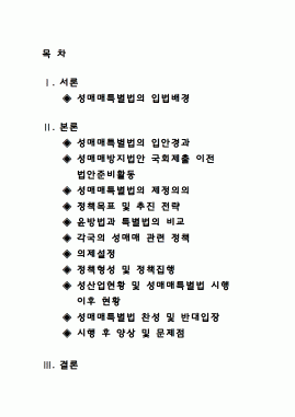 성매매특별법 윤방법 성매매특별법 찬성 반대 문제점-1페이지