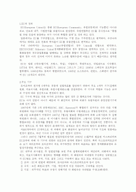 [국제 경제]동유럽제국의 EU 가입 후 경제 전망-1페이지