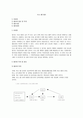 사회복지 프로그램의 평가-1페이지