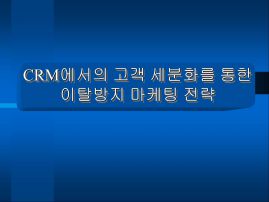 [고객관계관리(CRM)]CRM에서의 고객 세분화를 통한 이탈방지 마케팅 전략-1페이지