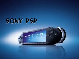 [마케팅]PSP 마케팅분석(소비자설문조사포함)-1페이지