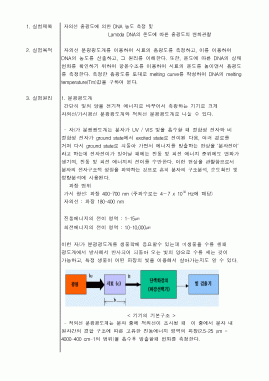 Lambda DNA의 온도에 따른 흡광도의 변화관찰-1페이지