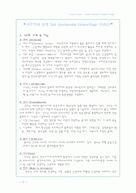 지주막하 출혈 SAH-1페이지