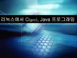 리눅스에서 C(gcc), Java 프로그래밍-1페이지