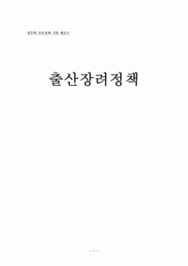 출산 장려 정책-1페이지