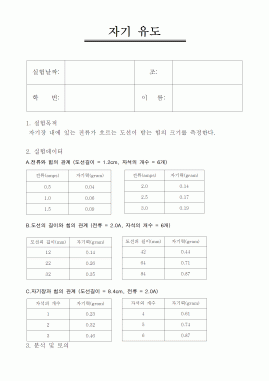 자기유도 실험보고서-1페이지