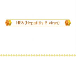 B형 간염바이러스(HBV)란 무엇인가?-1페이지