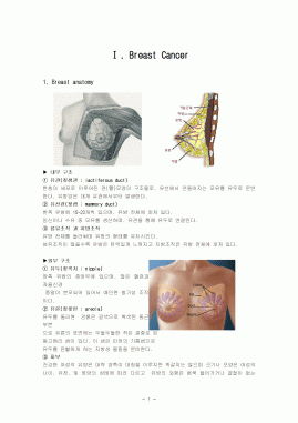 유방암문헌고찰- 성인간호학-1페이지