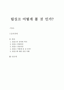 [대중문화]립싱크 어떻게 볼 것인가?-1페이지