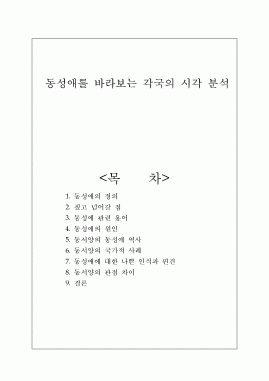 [성의 이해]동성애를 바라보는 각국의 시각 분석-1페이지