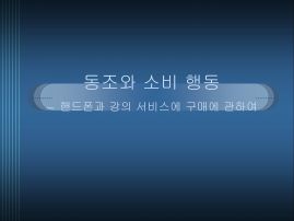 [동조와 소비 행동]핸드폰과 강의 서비스에 구매에 관련련한 소비자의 동조-1페이지