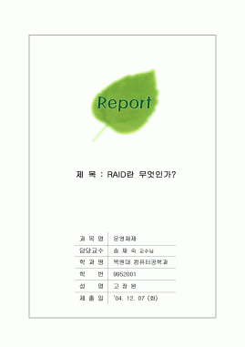 RAID의 개념-1페이지