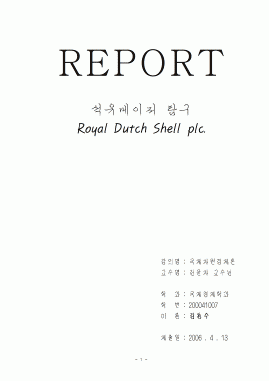 석유메이저 royal dutch shell 기업탐구-1페이지