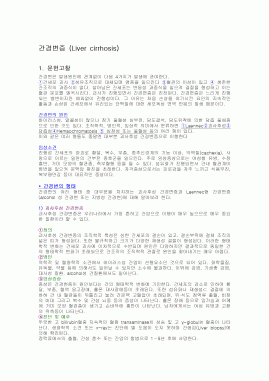 간경변증 (Liver cirrhosis 간경화) 케이스-1페이지