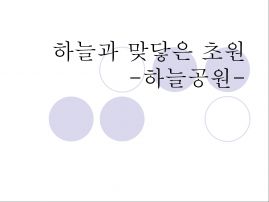 하늘공원을 다녀와서-1페이지