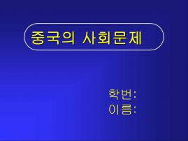 (중국의 사회문제) 중국의 경제성장에 따른 중국의 부작용 분석과 실태 및 중국정부의 대응 및 우리의 대응방안-1페이지