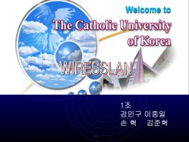 무선랜 (wireless Lan)-1페이지