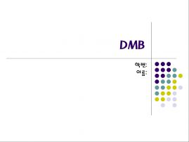 위성 DMB와 지상 DMB의 역사와 기술 방법 및 상세한 비교분석-1페이지