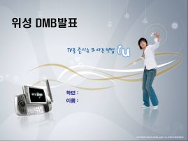 위성 DMB에 대한 이해와 기술·시장·해외 현황 및 문제점과 전망 & 발전방향 제언-1페이지