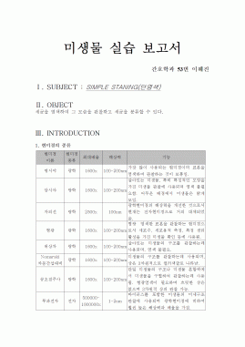 SIMPLE STANING(단염색)-1페이지