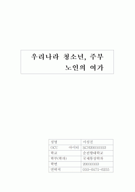 우리나라 청소년 주부 노인의 여가의 문제점 해결방안-1페이지