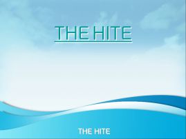 하이트(HITE)의 마케팅분석-1페이지