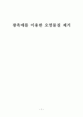 광촉매를이용한 수질정화-1페이지