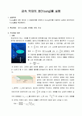 [일반물리학실험] 금속막대의 영률(Young률) 측정실험 예비보고서-1페이지