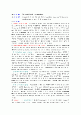 Plasmid DNA preparation(플라스미드 정제)(예비)-1페이지