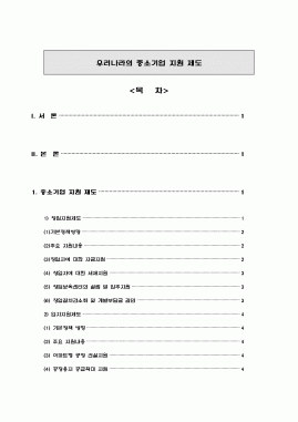 우리나라의 중소기업 지원 제도-1페이지