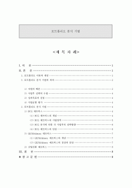 포트폴리오 분석 기법-1페이지