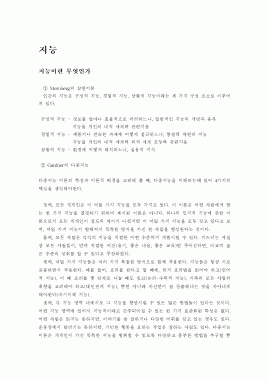 지능의 측정과 쟁점-1페이지