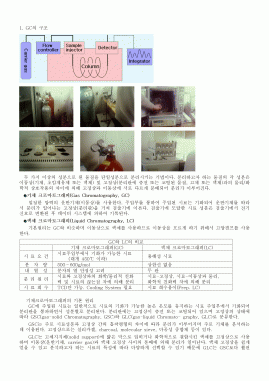 [자연과학] 기체크로마토그래피-1페이지