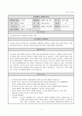 심리검사 보고서 기초학습지능검사, K-ABC,MBTI(성격유형검사) MMPI(다면적 인성검사)-1페이지