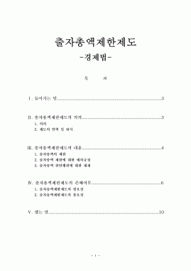 출자총액제한제도 의의-1페이지