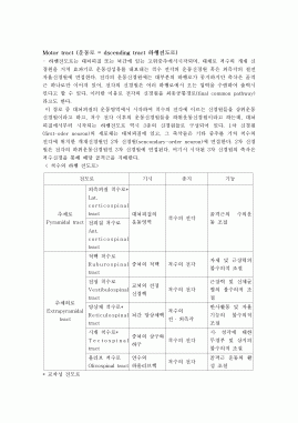 Motor tract (운동로 = dscending tract 하행전도로)-1페이지