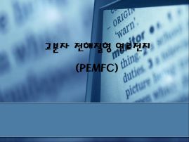 고분자 전해질형 연료전지(PEMFC)-1페이지
