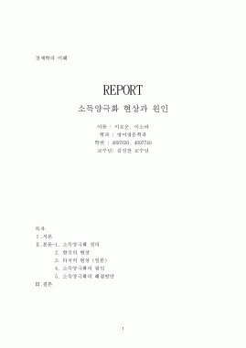 소득양극화 현상과 원인-1페이지