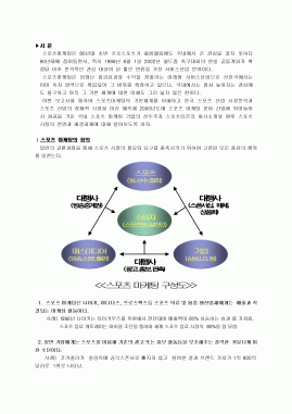 한국 스포츠 시장 분석과 스포티즌 사례 연구-1페이지