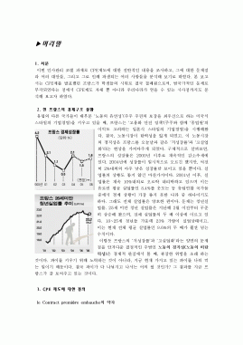 CPE제도의 전반적인 분석과 문제점에 관한 대안 연구-1페이지