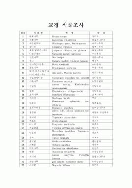 식물조사-1페이지