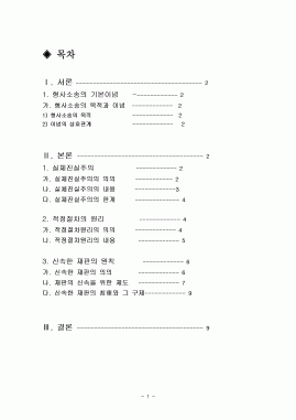 형사소송의 기본이념-1페이지