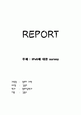 IPv6에 대한 survey-1페이지