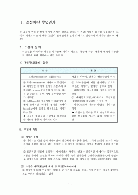 <문학의 이해> 소설론-1페이지