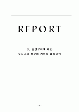 EU 환경규제에 대한 우리나라 정부와 기업의 대응방안-1페이지