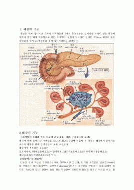 췌장의 구조와 기능 췌장염(pancreatitis)-1페이지